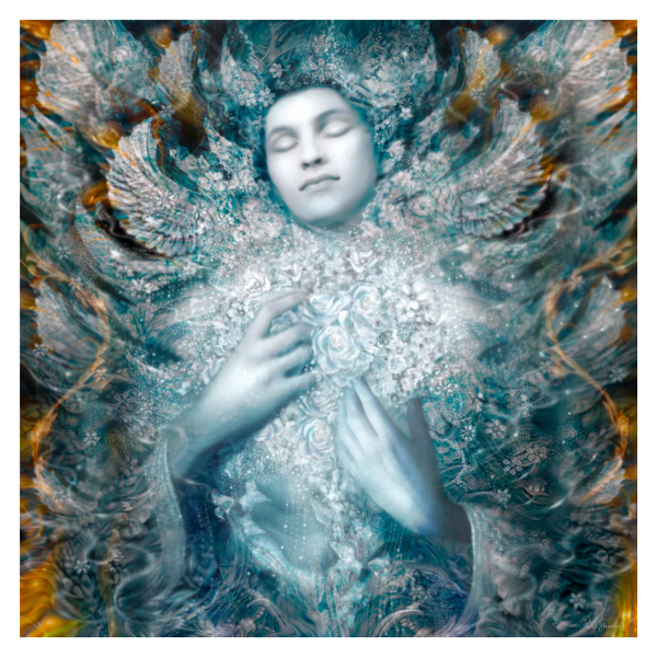 ‘Amor’ – Philip Shadbolt